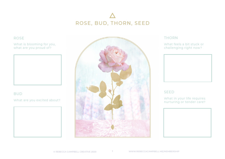 Rose Bud Thorn Seed V1 | PDF
