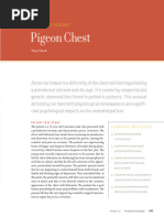 Types of Chest Shapes Explained | PDF | Thorax | Causes Of Death