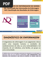 Modelo Nanda Nic Noc | PDF | Enfermagem