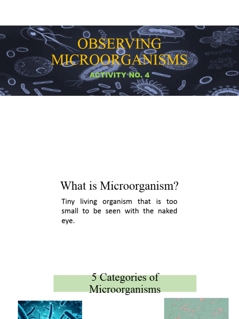OBSERVING MICROORGANISMS - Hay Infusion | PDF