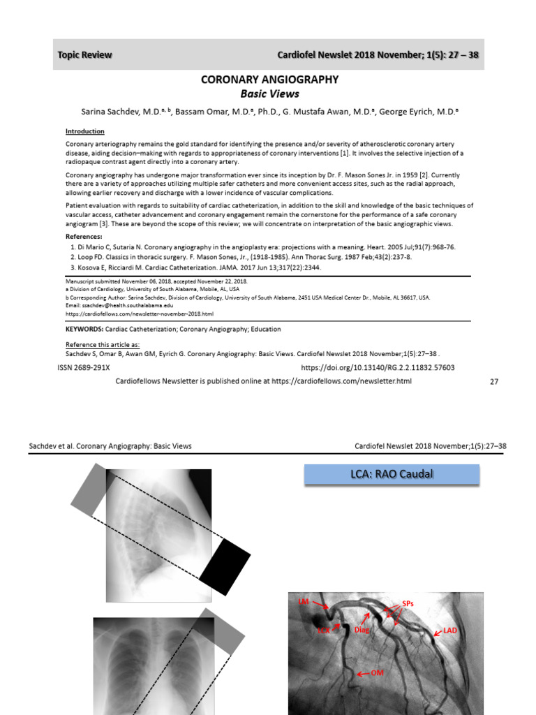 Coronary Angiography - Basic Views PDF | PDF | Medical Procedures ...