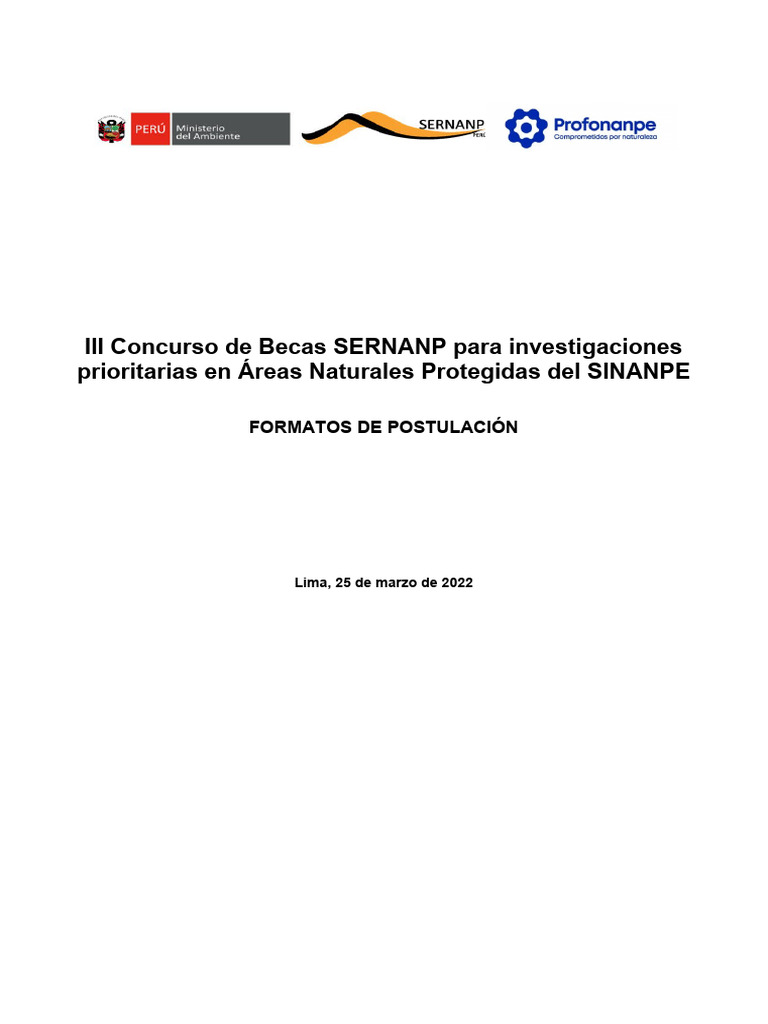 Descarga Los Formatos de Postulación | PDF | Diseño | Documento de identidad