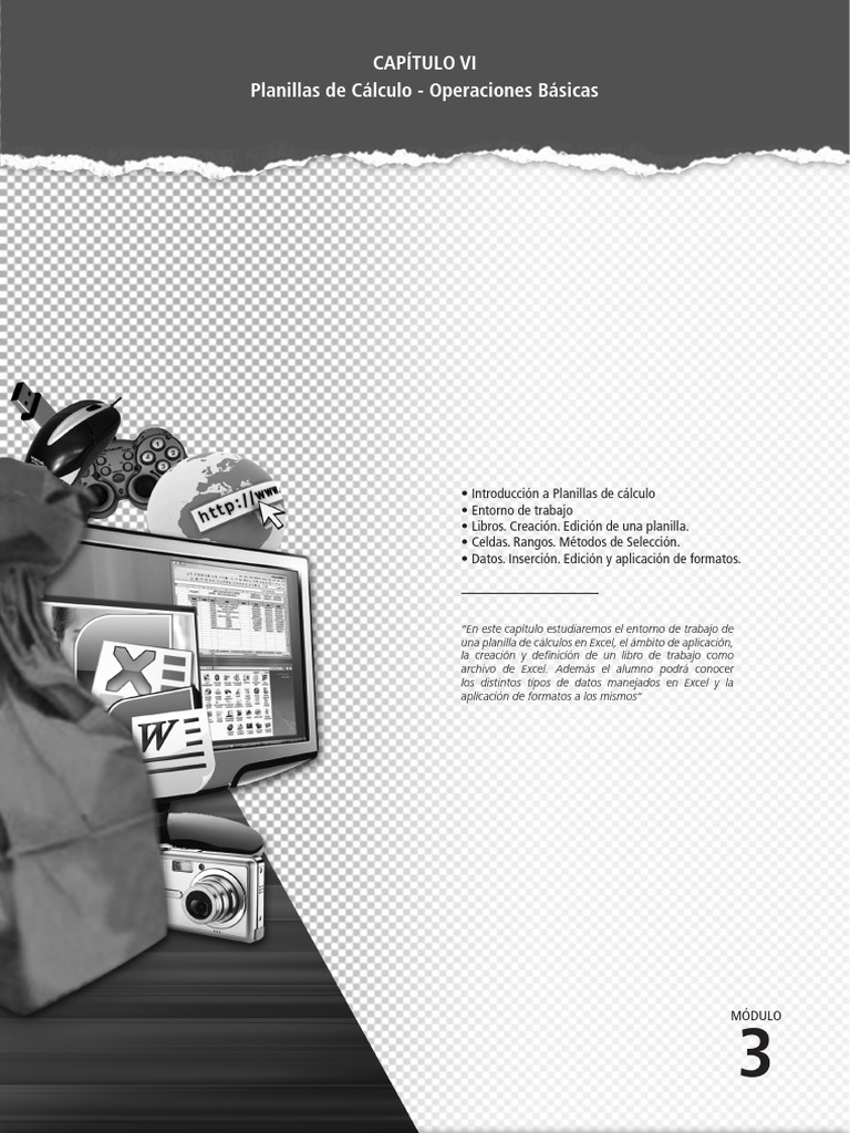 Capítulo 1 Excel Básico | PDF | Hoja de cálculo | Microsoft Excel