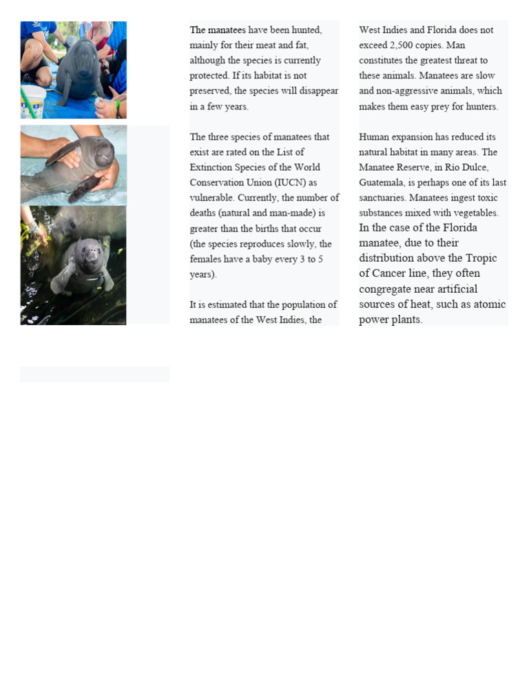 Manatee Conservation and Threats | PDF
