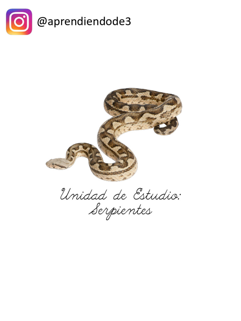 Características y tipos de serpientes | PDF | Serpiente | Squamata