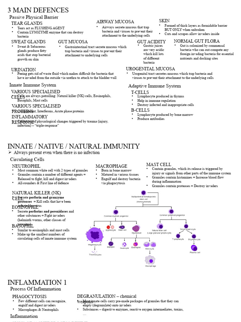 Cell Adaptation - Defence | PDF | Cytotoxic T Cell | T Cell