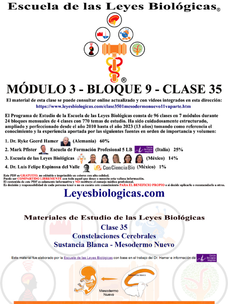 ELB Constelaciones Cerebrales Meso Nuevo | PDF