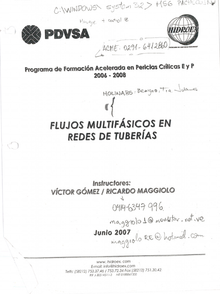 Manual Flujos Multifasicos en Redes de Tuberias 1 | PDF