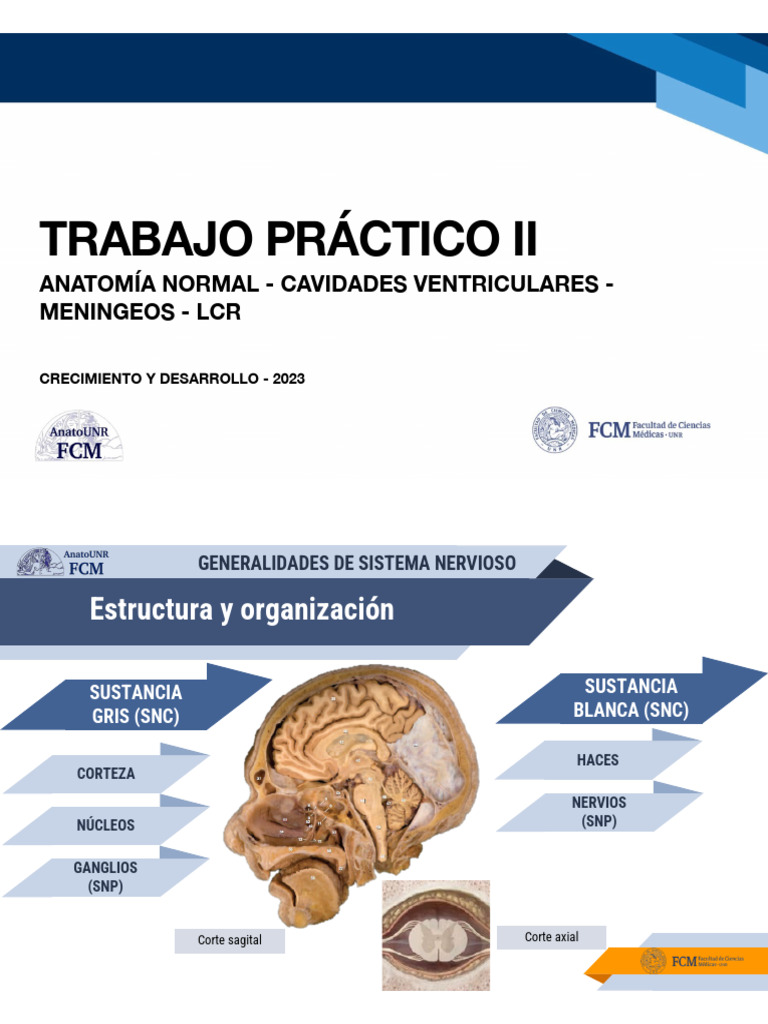 Imagenes Practico Ii PDF | PDF