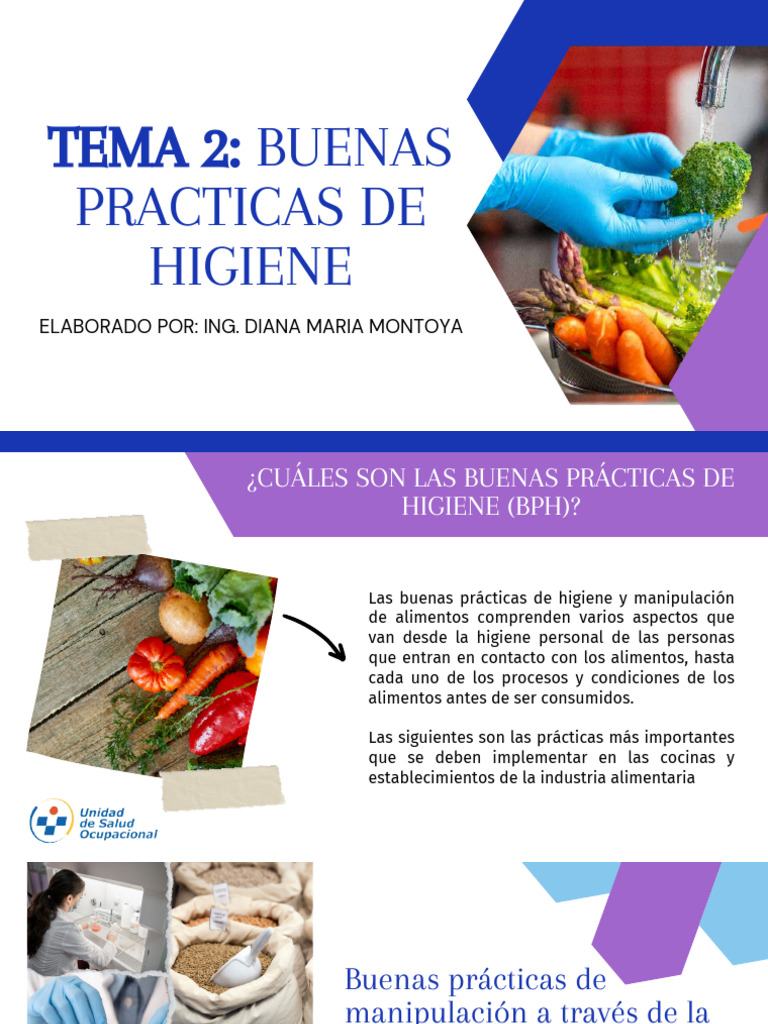 Tema 2 Buenas Practicas De Higiene Descargar Gratis Pdf Residuos