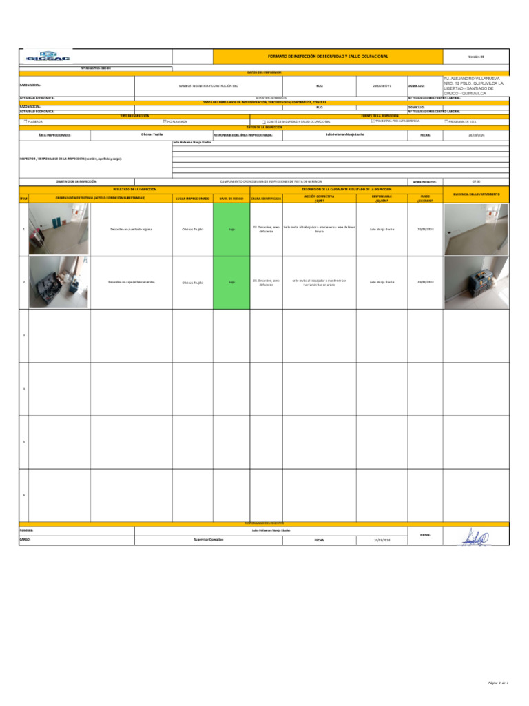 Inspeccion Sasds | PDF