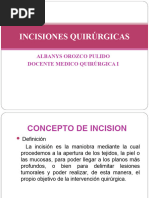 Incisión de Pfannenstiel: Técnica y Aplicaciones | PDF | Pelvis | Vagina
