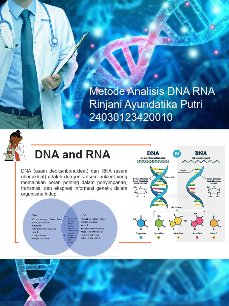 Metode Analisis DNA RNA UTS - Rinjani Ayundatika Putri - 24030123420010 ...