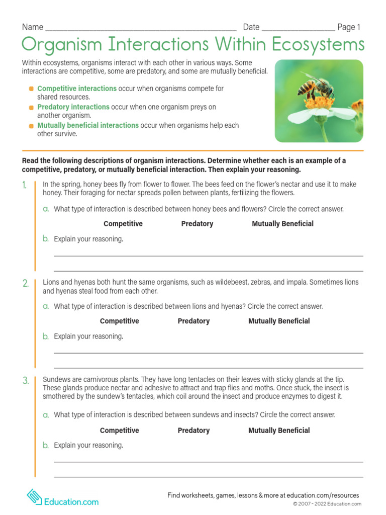 Organism Interactions Within Ecosystems | PDF | Predation | Flowers
