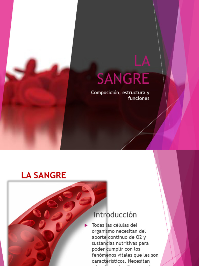 2) La sangre | PDF | Sangre | Leucocito