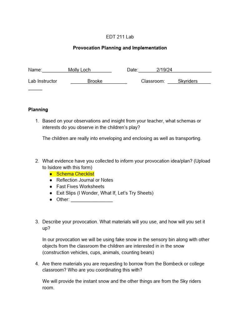 Provocation Planning for Children's Play | PDF | Learning | Cognitive ...