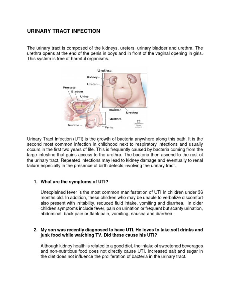 UTI Pediatric | PDF | Urinary Tract Infection | Urination