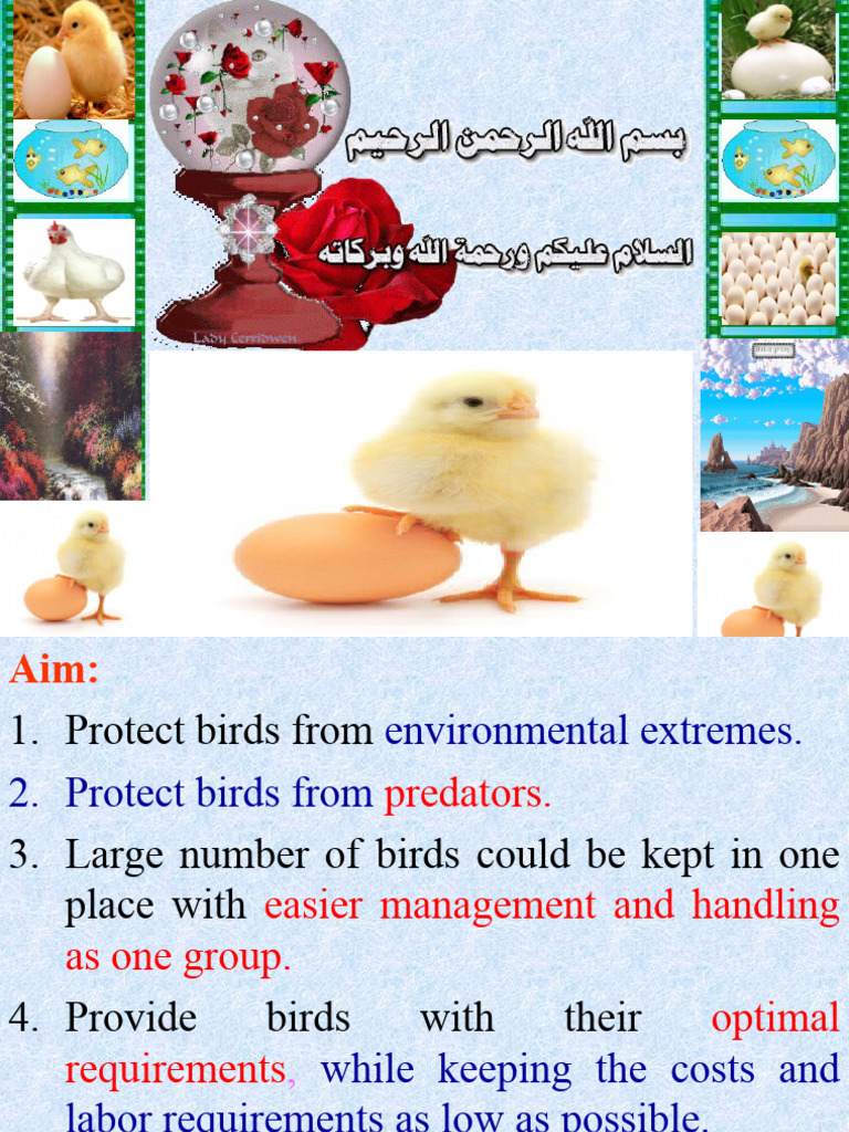 Poultry Housing Pdf Poultry Farming Roof