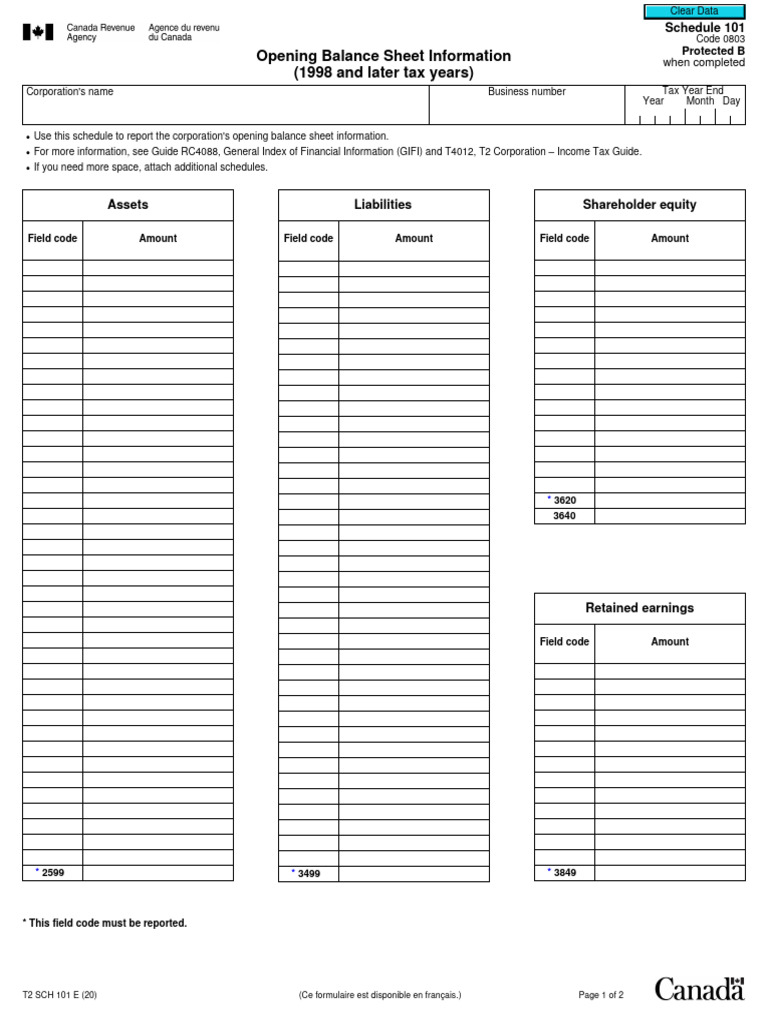 T2sch101-Fill-20e - Opening Balance Sheet Information | PDF | Retained ...