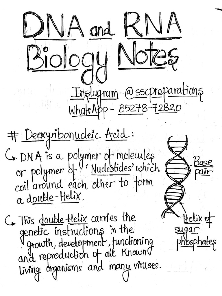 DNA & RNA - Biology Handwritten Notes | PDF