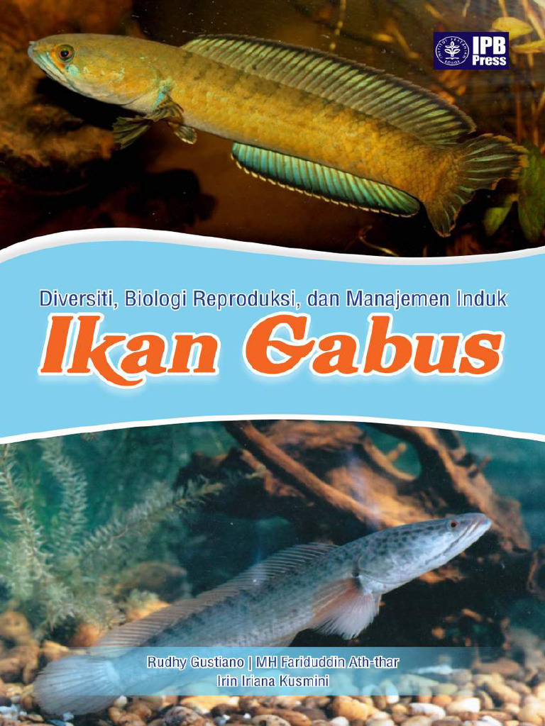 Diversiti, Biologi Reproduksi, Dan Manajemen Induk Ikan Gabus (Rudhy ...