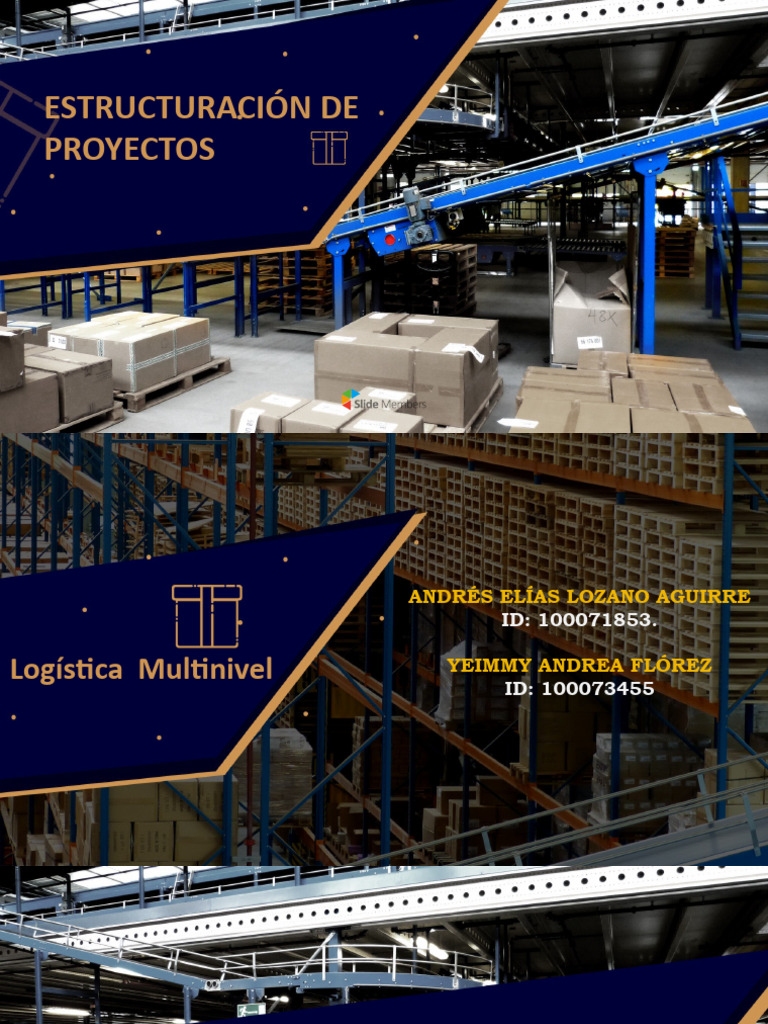 4.1.proyecto Logistica Multinivel | PDF | Logística | Business