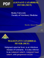 LifeStent Vascular Stent System Brochure (Bard) (BD Interventional ...