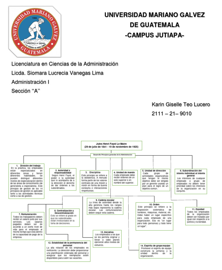 MAPA CONCEPTUAL | PDF