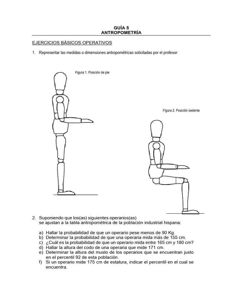 G5 Guía De Ejercicios De Antropometría Pdf Factores Humanos Y