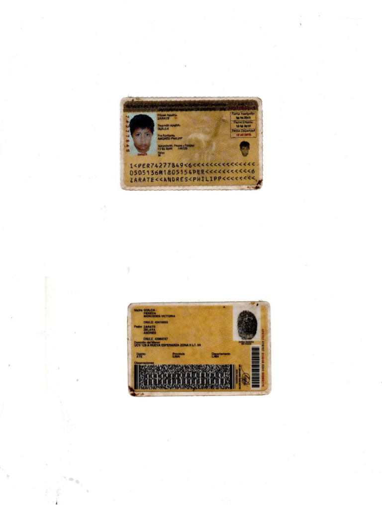 Andres Philipp Zarate Quilca | PDF