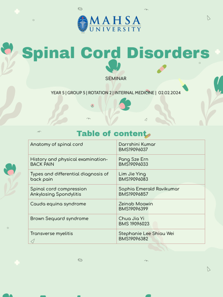 S: Spinal Cord Disorders | Download Free PDF | Vertebral Column ...
