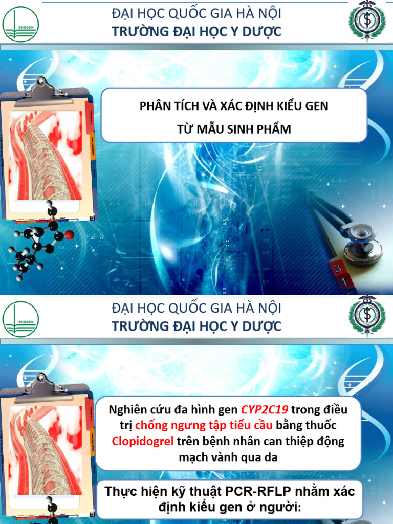 b6. PCR RFLP Cyp2c19 | PDF