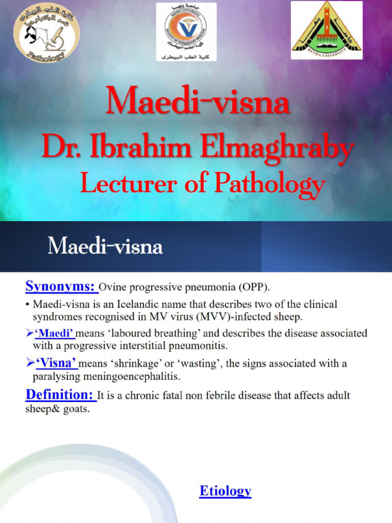 Maedi-Visna (For Student) | PDF