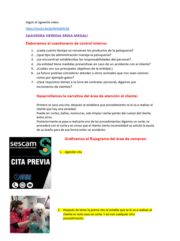 Tarea - Control Interno | PDF