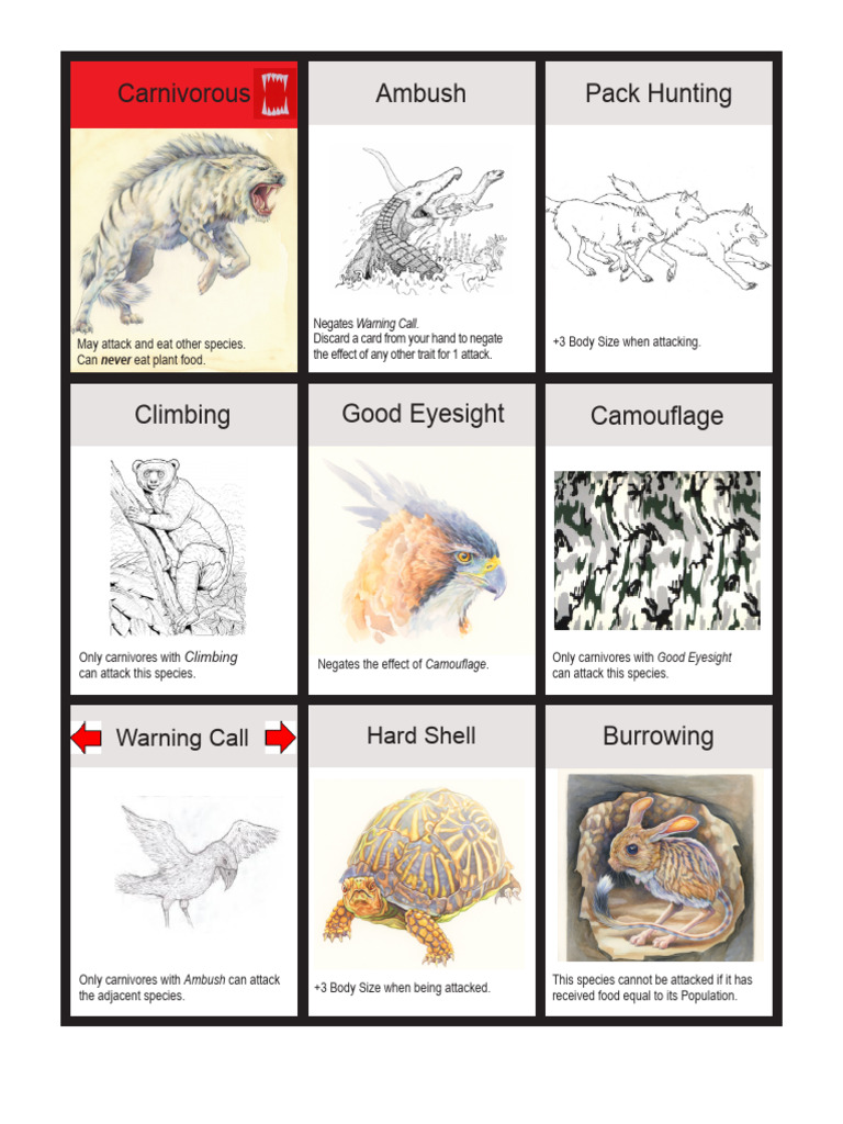 Evolution PNP Cheat Sheet | PDF | Foods | Biology