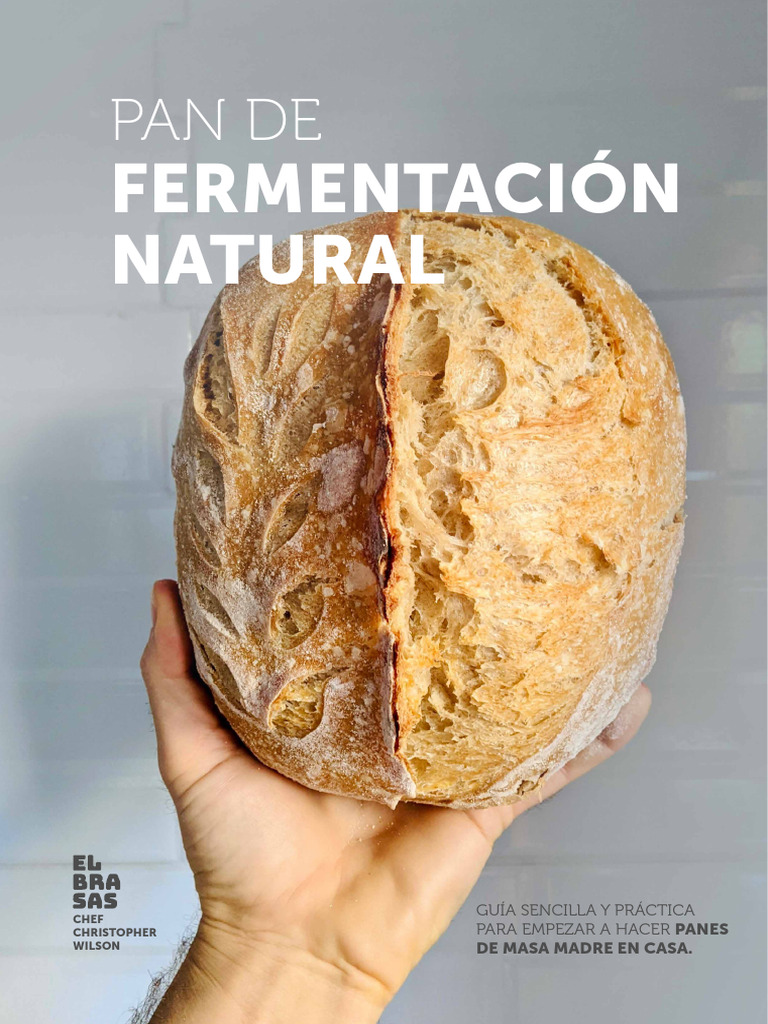 El Brasas Pan Fermentacion Natural | PDF | Panes | De masa fermentada