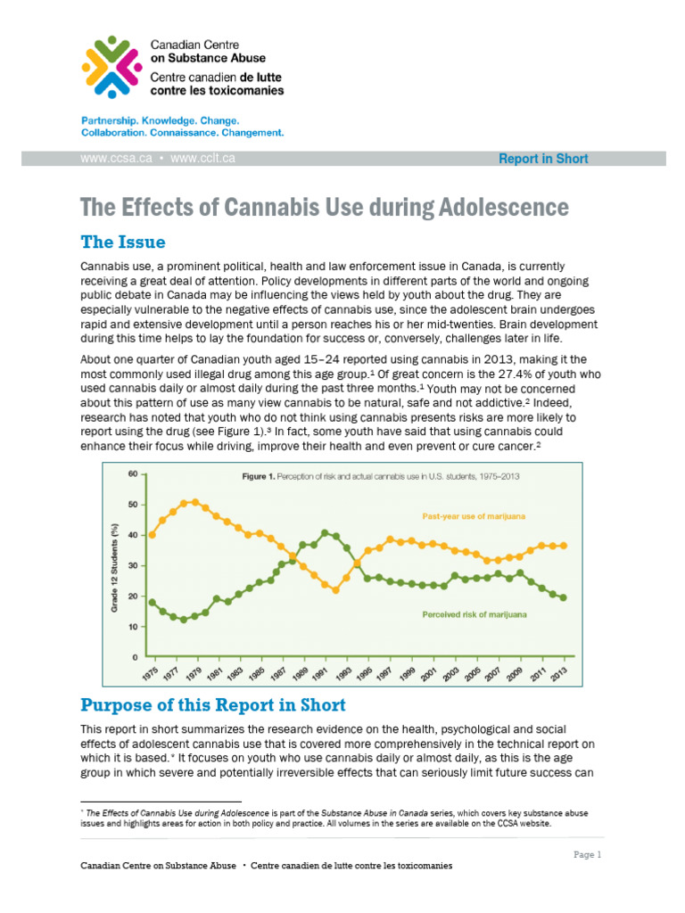 CCSA Effects of Cannabis Use During Adolescence Summary 2015 en | PDF ...
