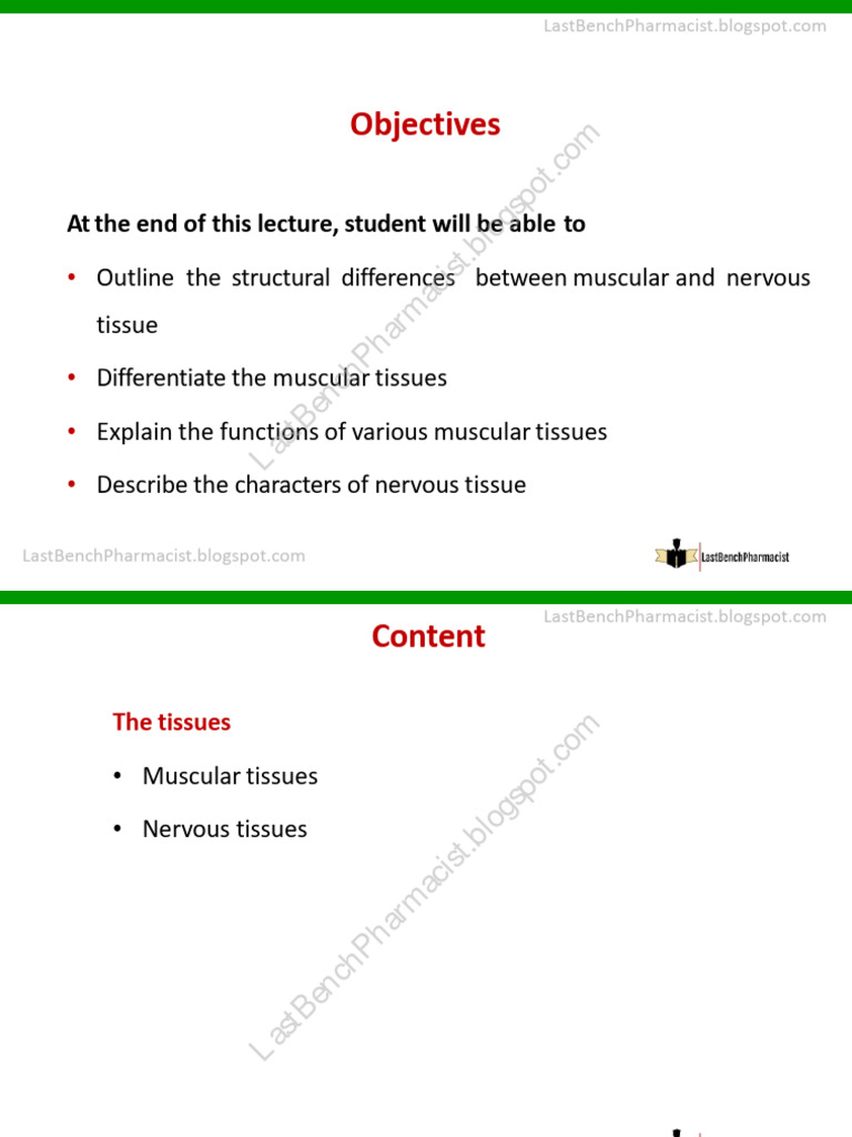 Objectives: at The End of This Lecture, Student Will Be Able To | PDF ...