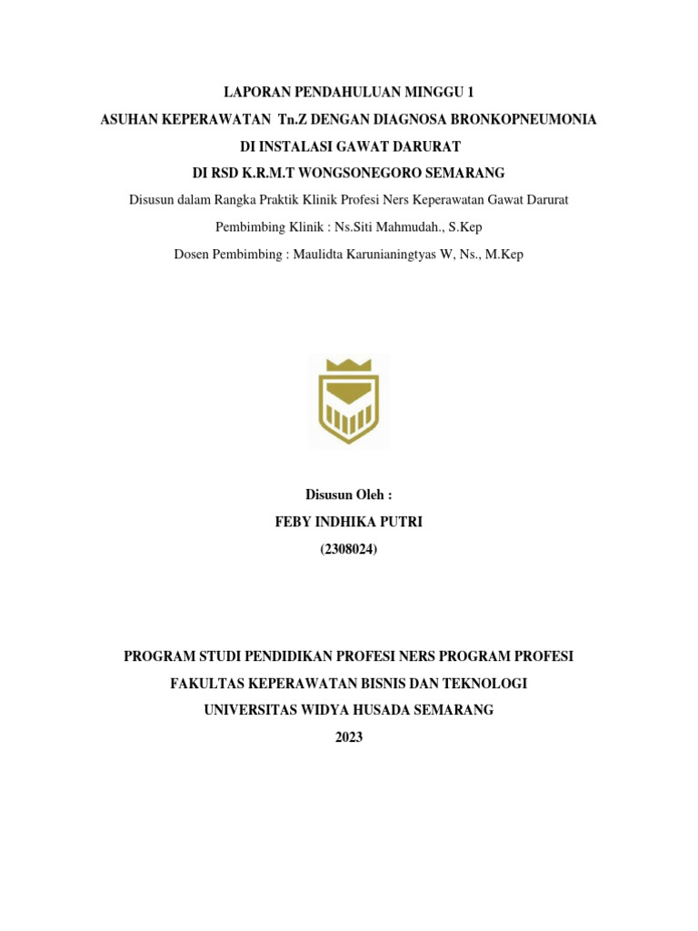 Asuhan Keperawatan Bronkopneumonia Tn.Z | PDF