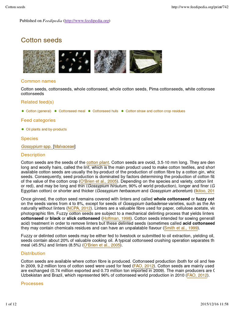Cotton seeds بذور القطن | PDF | Cottonseed | Cotton
