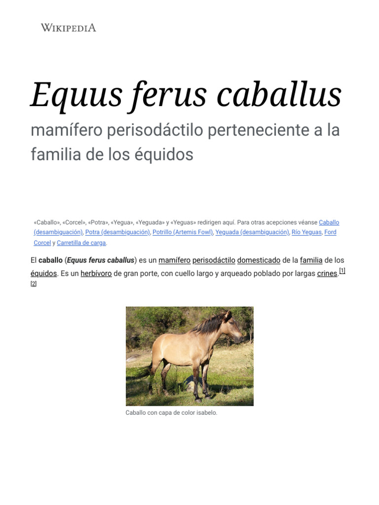 Equus Ferus Caballus - . | PDF | Caballos | Équidos