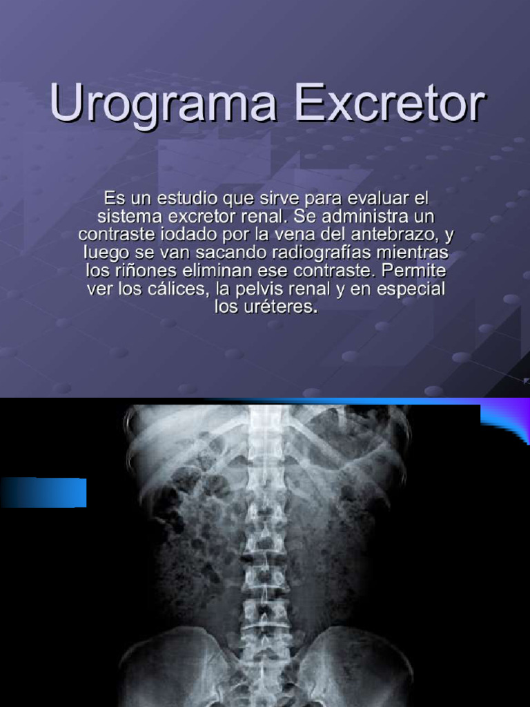 UROGRAMA | PDF | Riñón | Especialidades Medicas