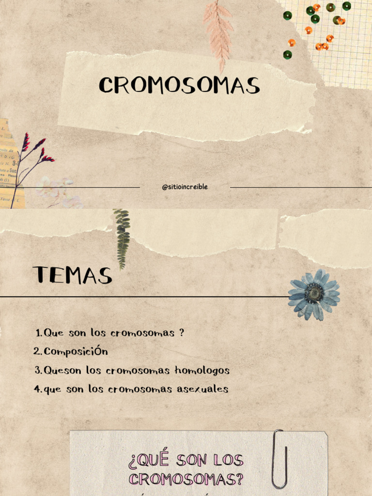 Cromosomas | PDF | Cromosoma | Biología Molecular