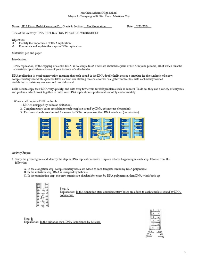 Dna Replication Worksheet | PDF | Dna Replication | Dna