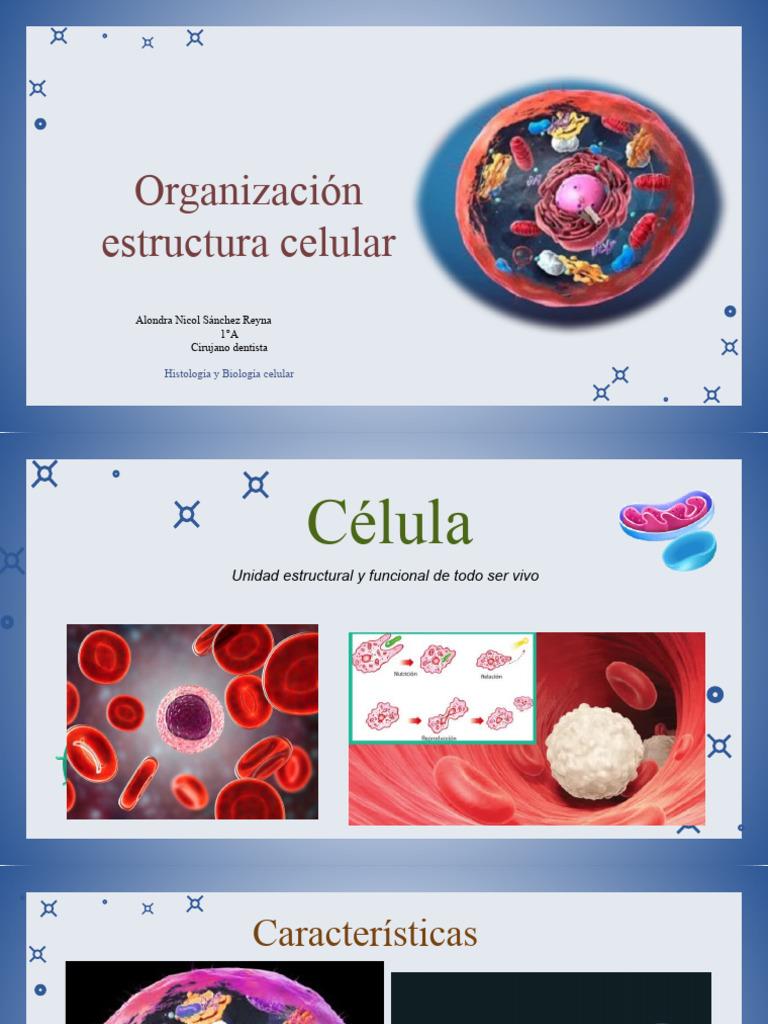 cELULA 1 | PDF