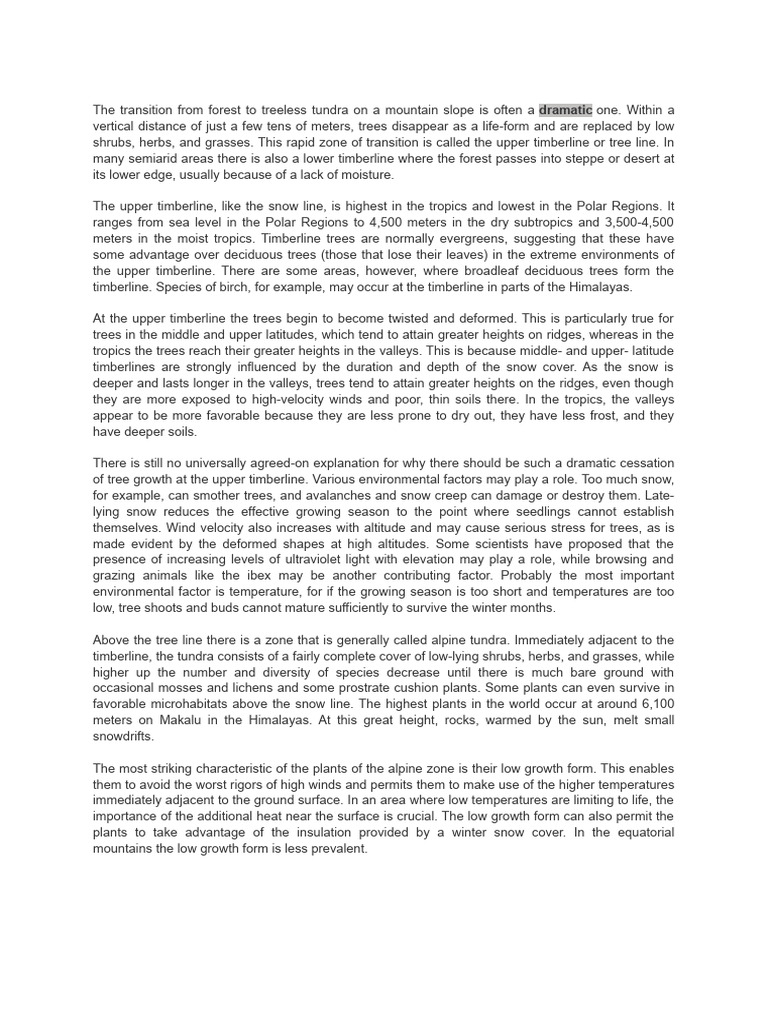 Mountain Timberline Dynamics | PDF | Trees | Natural Environment