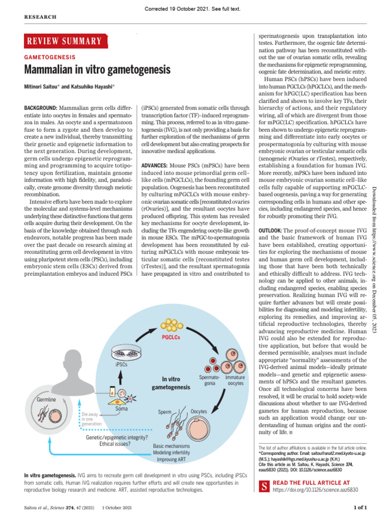 Mammalian in Vitro Gametogenesis | PDF | Cell Potency | Cellular ...