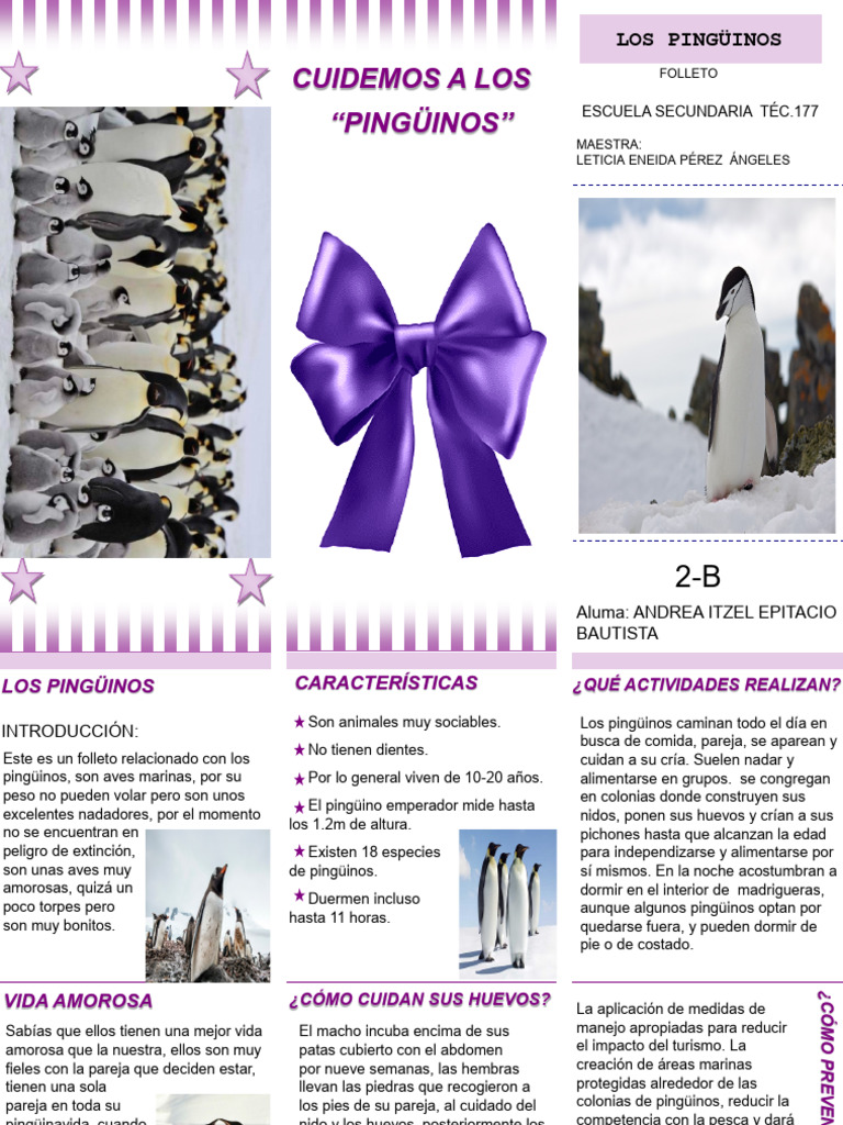 Cuidemos a los Pingüinos: Folleto Educativo | PDF | Pingüino | Aves