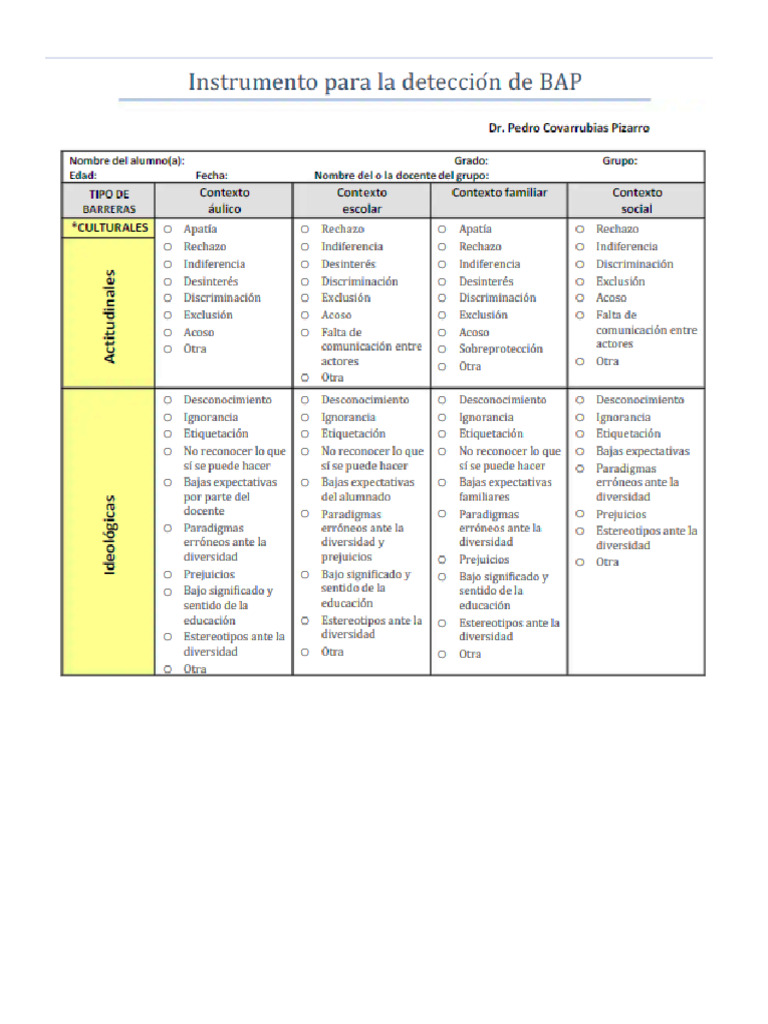 BAP Covarrubias | PDF