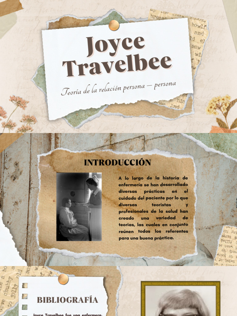 Joyce Travelbee (Salud Mental) | Descargar gratis PDF | Enfermería ...